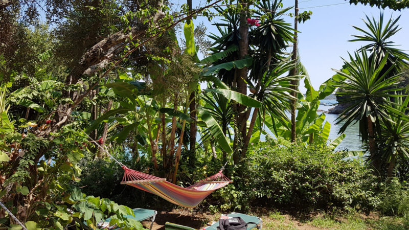 Notos Beach on Corfu - a mini beach in the middle of olive groves